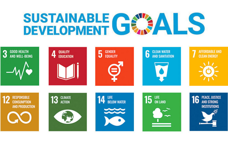 SDG 12 – Responsible Consumption & Production - Sürdürülebilirlik ...